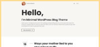 20+ Beautiful Personal Blog WordPress Themes - ThemesLay