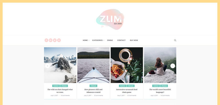 20+ Beautiful Personal Blog WordPress Themes - ThemesLay